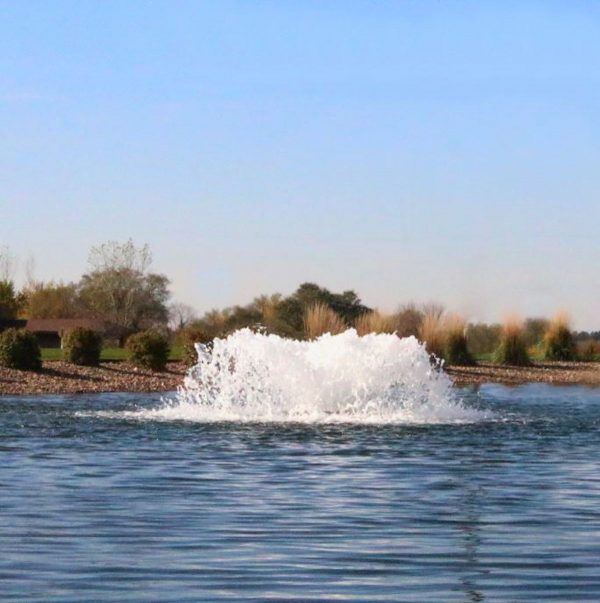 Back to Basics – Spring Pond Management Tips - Kasco Blog | Kasco
