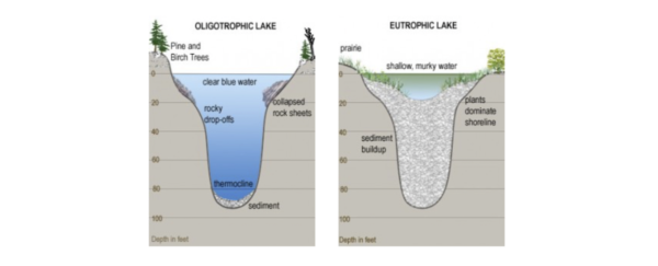 Combating Pond Aging - Kasco Marine