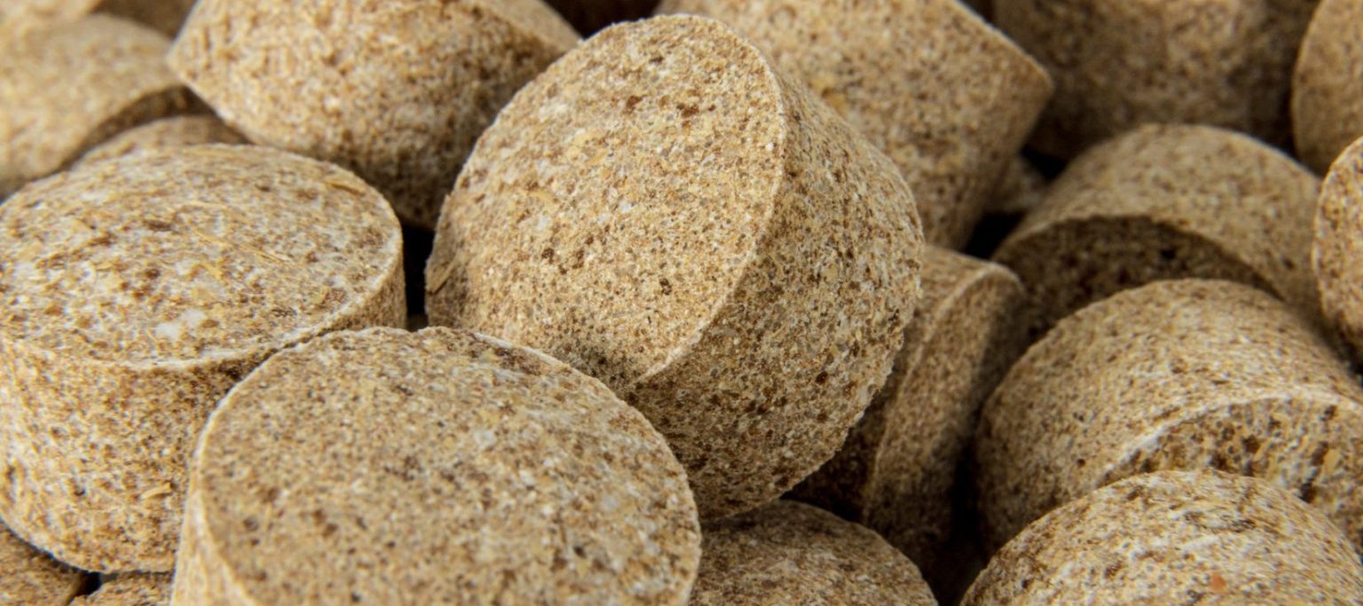 What the Muck?! A Guide for Waterfront Owners | Kasco Blog