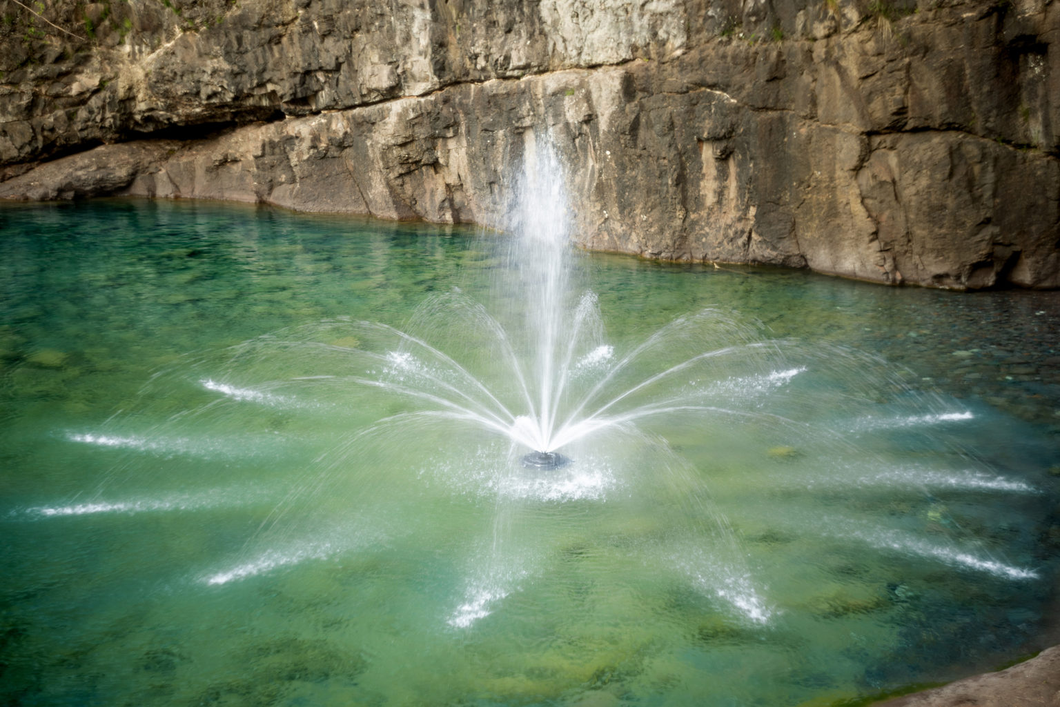 Why You Should Add a Fountain to Your Backyard Pond - Kasco Marine