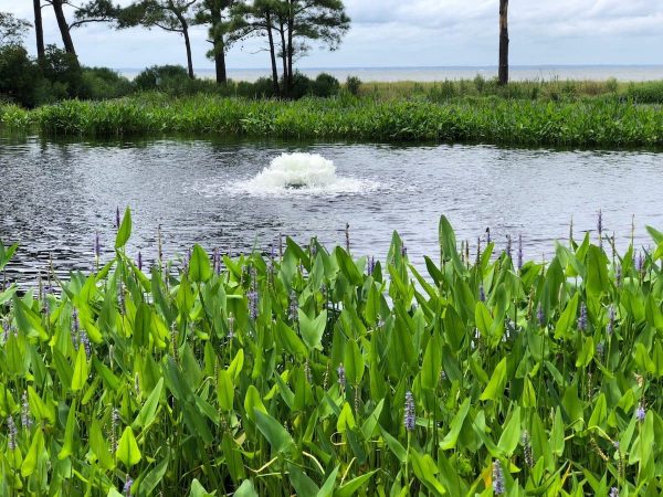 Slow-Start to Prevent Pond Turnover & Fish Kills - Kasco Marine