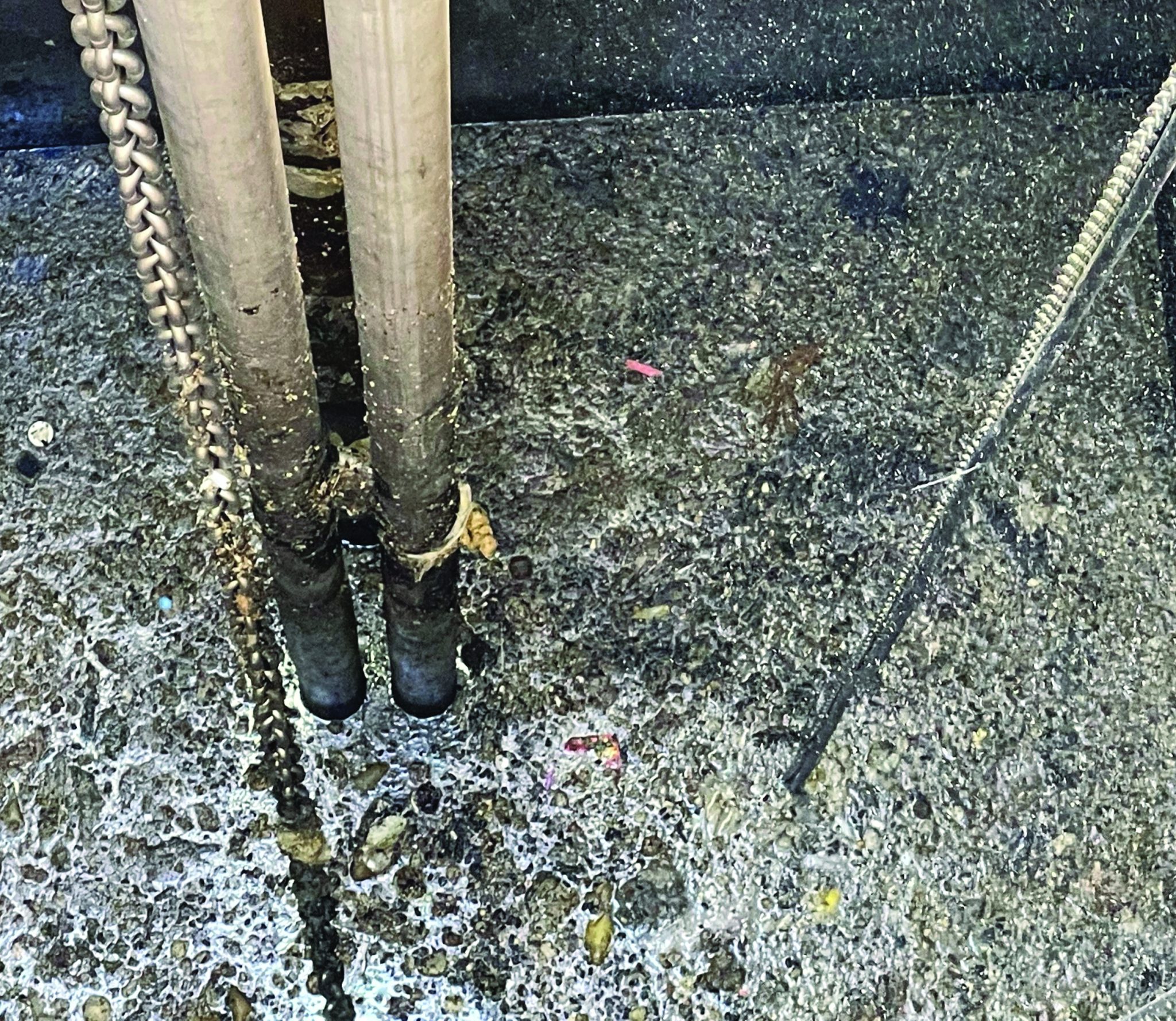 The Impacts of Untreated F.O.G. in Lift Stations - Kasco Marine