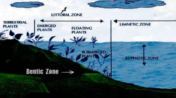 Pond & Lake Zone Identification - Kasco Marine