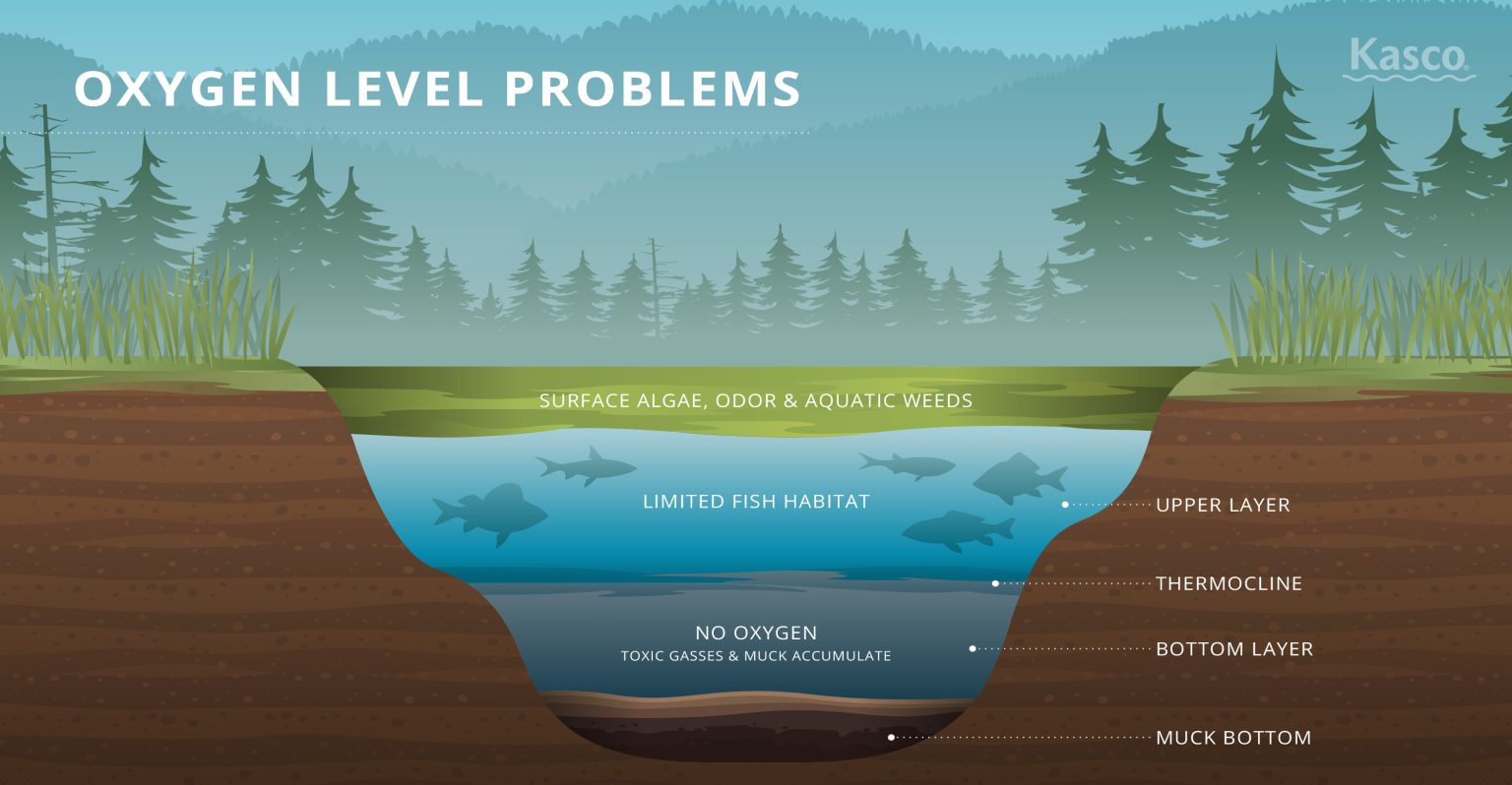 What the Muck?! A Guide for Waterfront Owners | Kasco Blog